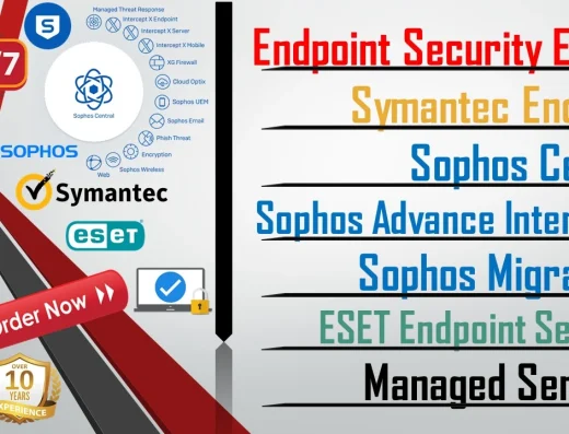 I will provide managed endpoint protection solution - eStreet Security